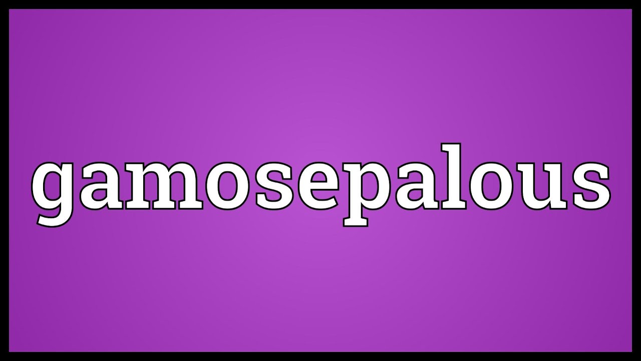 Gamosepalous Meaning - YouTube