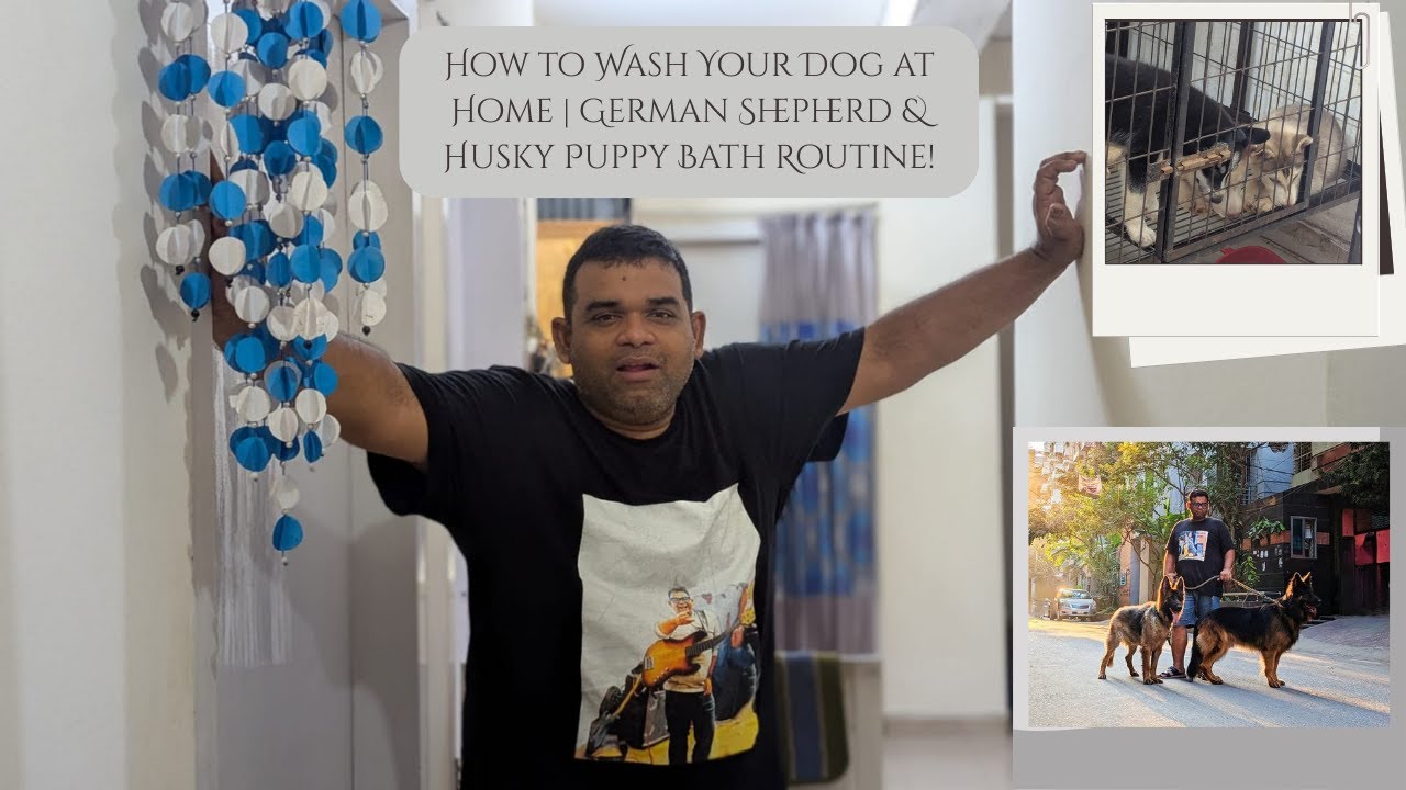 How to Wash Your Dog at Home 🛁 | German Shepherd & Husky Puppy Bath ...