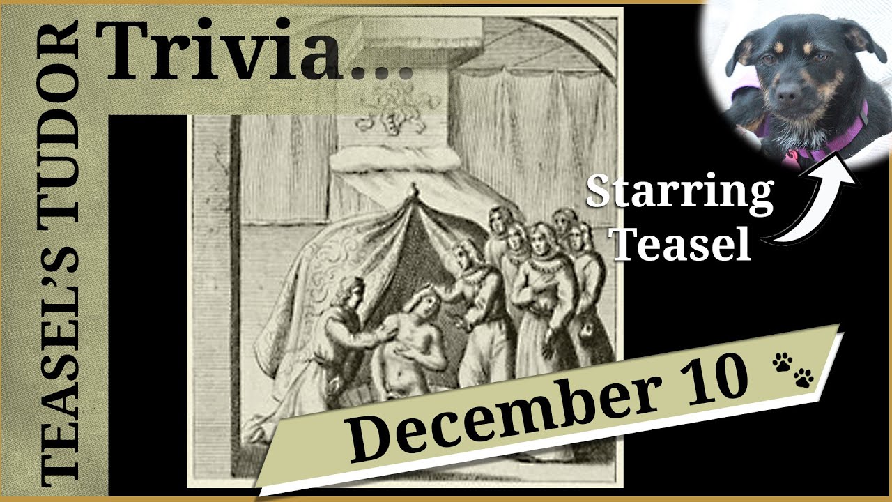 Teasel's Tudor Trivia - 10 December - Tudor people weren't so smelly ...