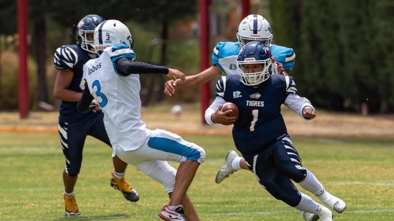 Tigres Blancos UMAD vs Lobos BUAP (Highlights) 2023 Juvenil ONEFA Week ...