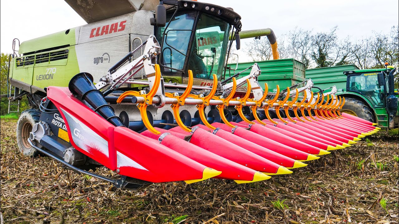 Kukorica aratás 🌽 Claas Lexion 770 + Geringhoff Rota Disc 1850 + ICF ...