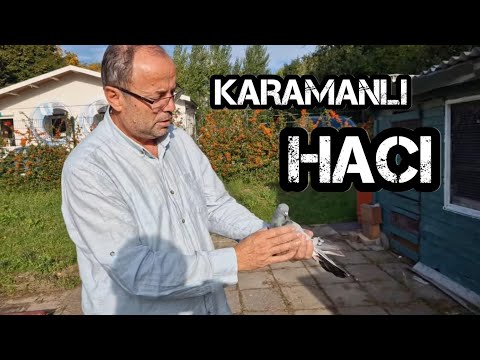 SATILIK Toptan Veya Tek!! OYUN KUŞU!! KARAMANLI HACI