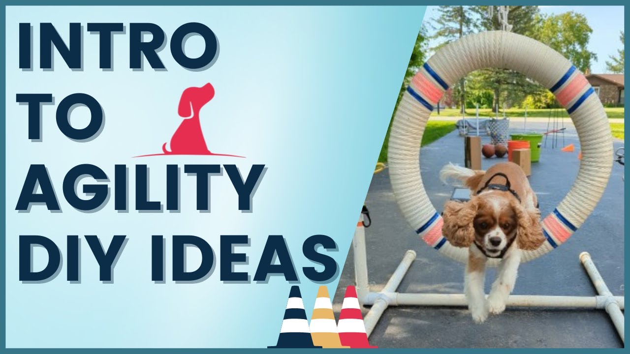 Dog Agility DIY - YouTube