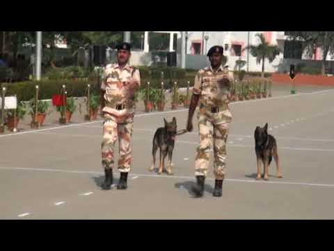 ITBP PT Demonstration at BTC, HARYANA - YouTube