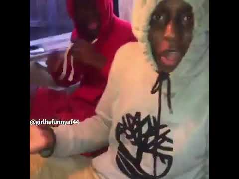Girl he funny af freestyle