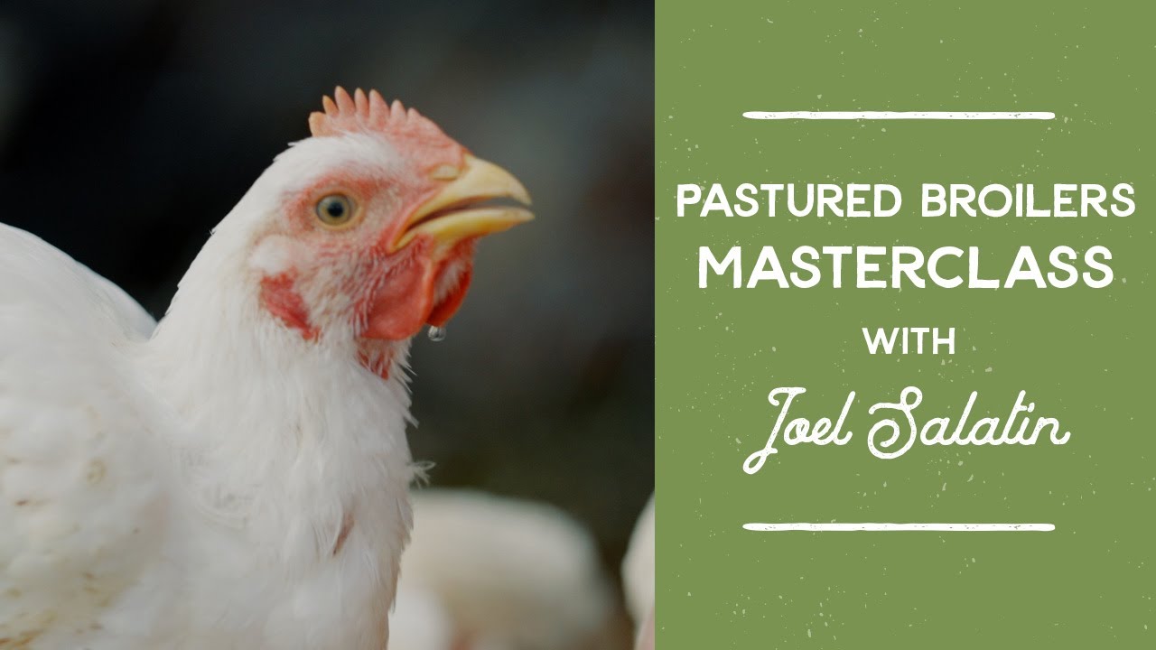 Joel Salatin's Pastured Broilers Masterclass - Teaser Trailer - YouTube