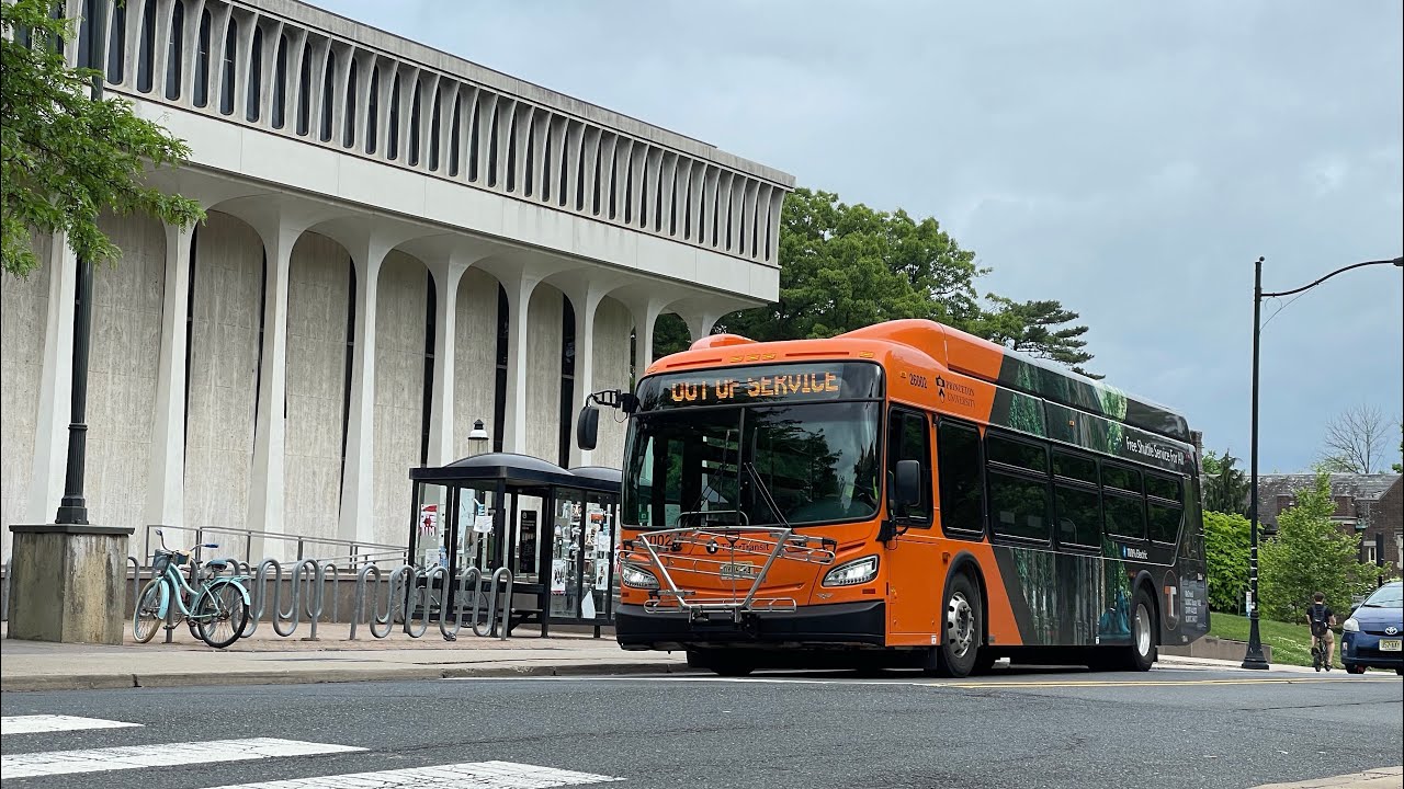 Tiger Transit, New Jersey Transit & Coach USA: PM Rush Hour Bus Action ...
