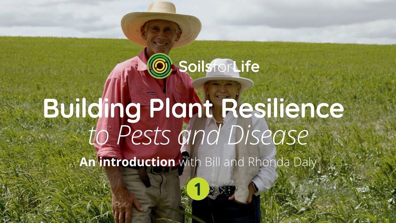 Building plant resilience to pest and disease 1: Introduction - YouTube