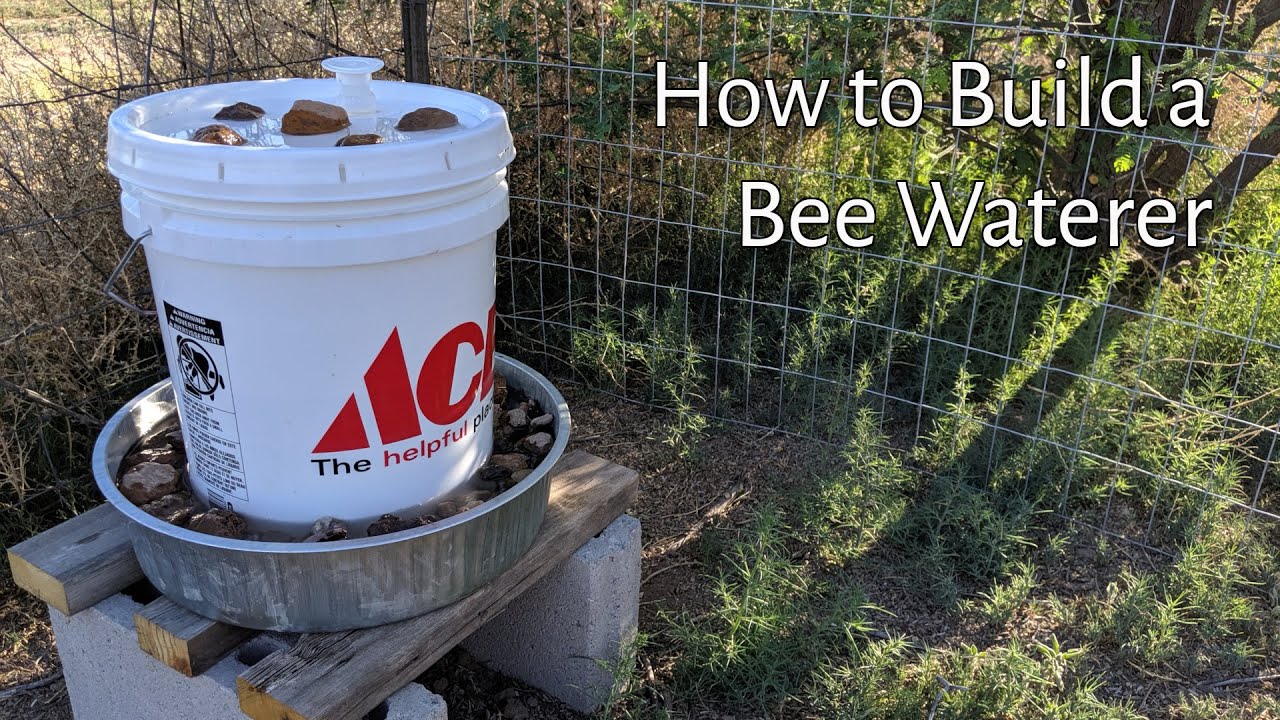 How to Build a Bee Waterer - YouTube