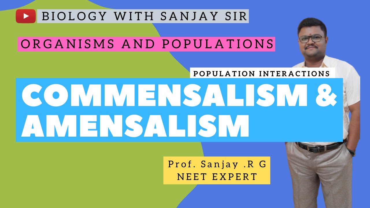 Commensalism | Amensalism | Organisms And Populations | Class 12 ...