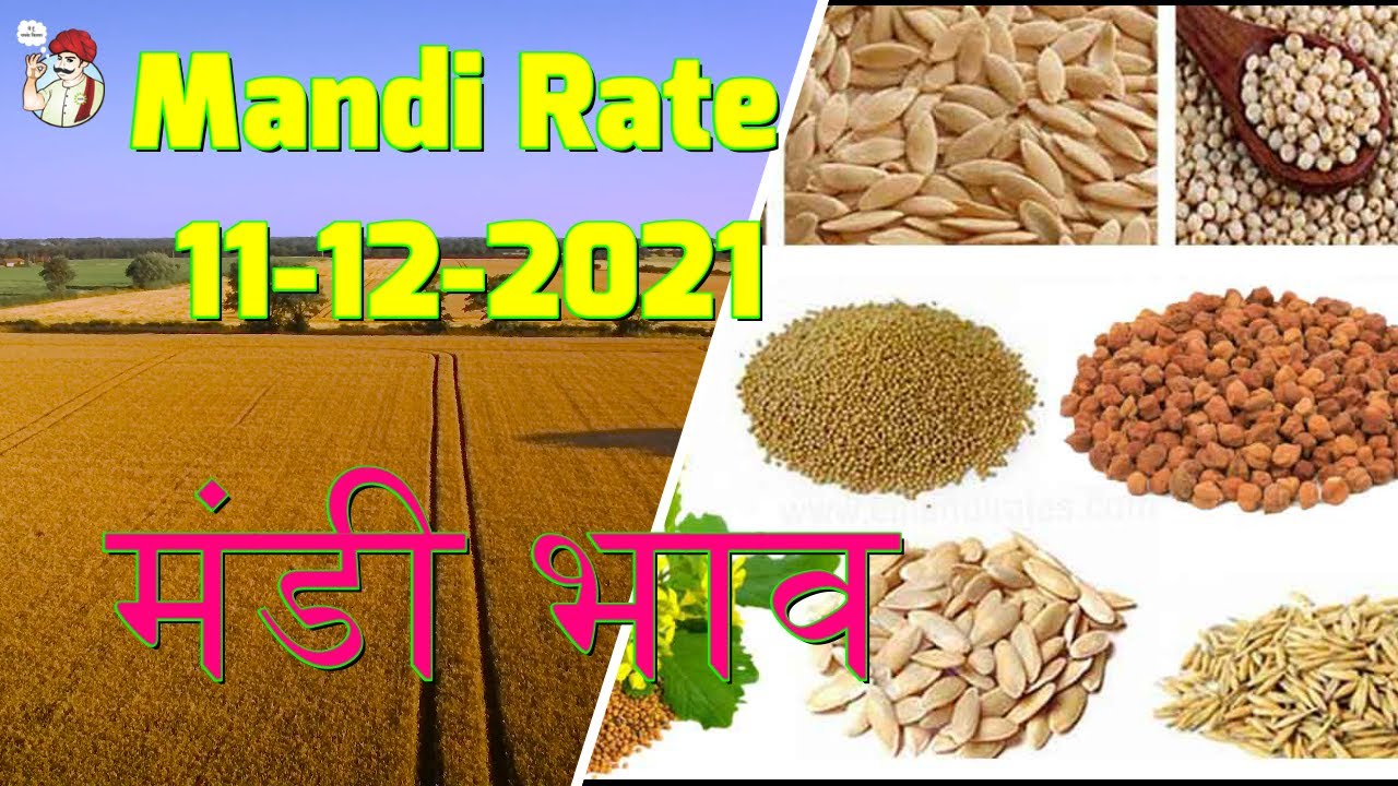 11 /12 /2021 मंडी भाव / Mandi Price - YouTube