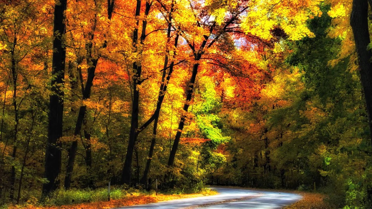 Forever Autumn - YouTube