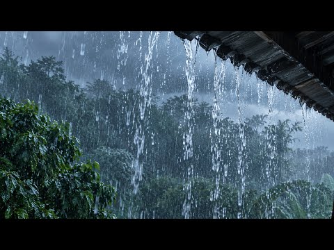 Anında Uykuya Dalın 😴 Gerçek Şiddetli Yağmur Sesleri 🌧️ | Derin Uyku ve Stres Giderme
