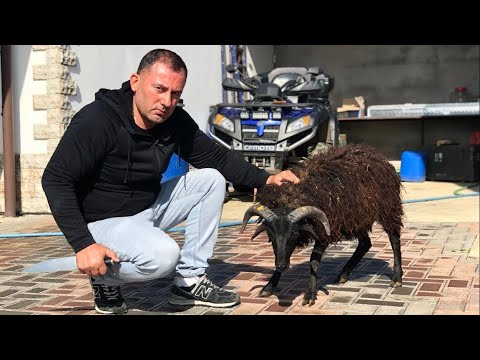 YERDE PİŞİRİLMİŞ ET