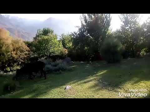 Gilgit Jalalabad - YouTube
