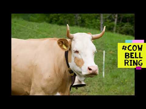 Cow Bell Ring sound |Sound Effect Studio|2020 - YouTube