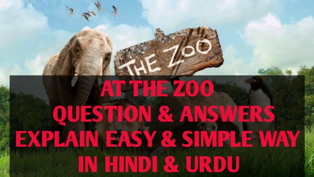||AT THE ZOO|| Questions & Answers.Easy & Quick Explainatio in Hindi ...