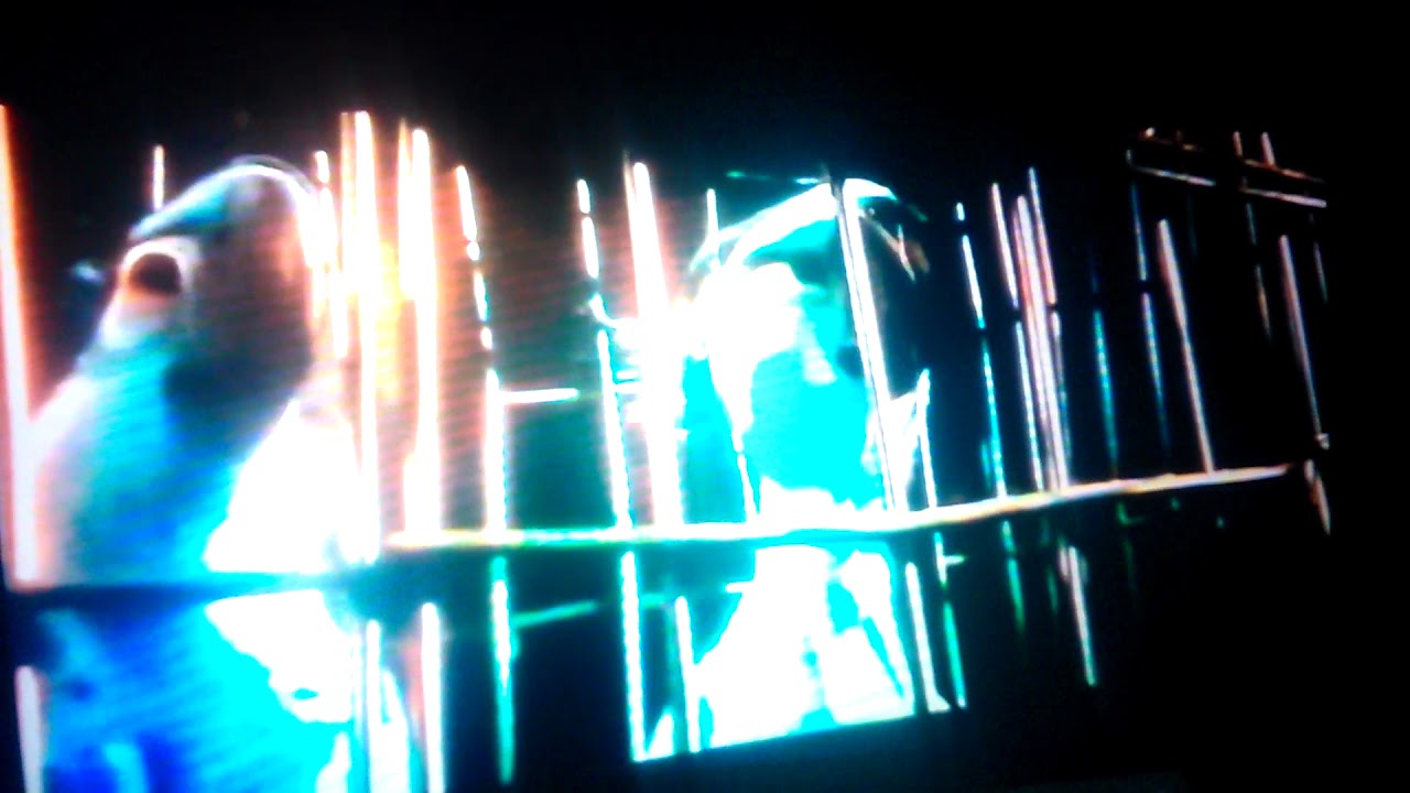 Rio - YouTube