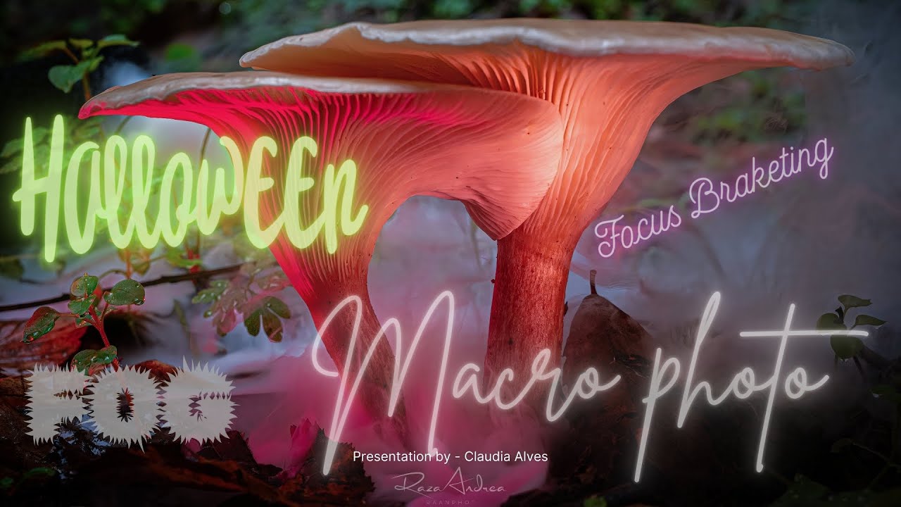 Macro Halloween: Funghi Colorati nel Fumo Spettrale – Magia a Portata ...