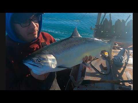Chinook Rigs Tackle How To + - YouTube