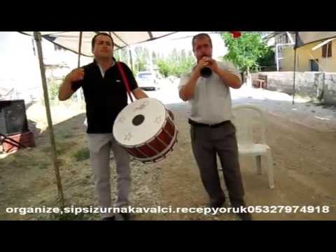 Davul Zurna ile Türkiyem ve Haydi gençler