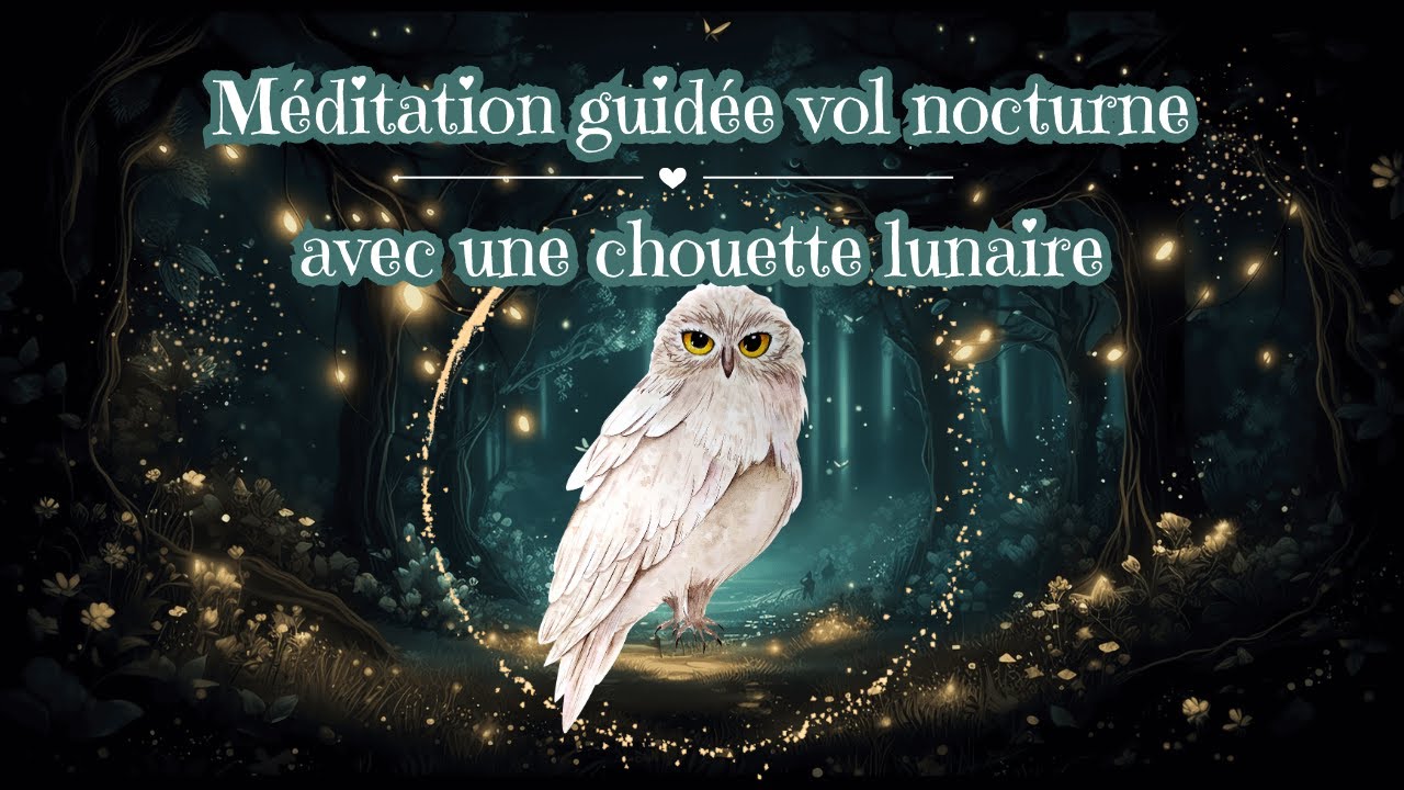 Vol nocturne avec une chouette – Méditation guidée relaxante pour les ...