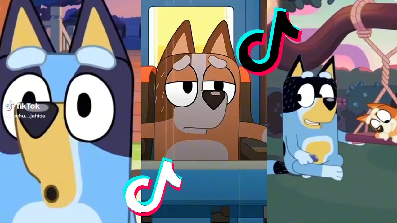 Bluey TikToks Compilation 2023 #1 - YouTube