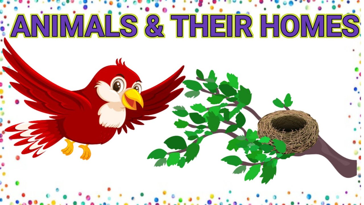 Animals And Their Homes | Animals Home | Home Of Animals | Animals ...