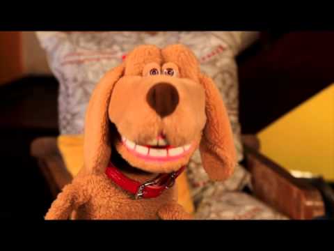 Paio & Dongo | 1ª Temporada: Cena Interna 28 - YouTube