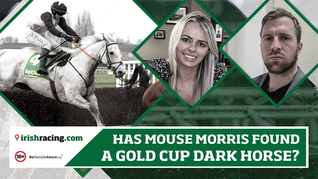 Has Mouse Morris found a Gold Cup dark horse? irishracing.com - YouTube