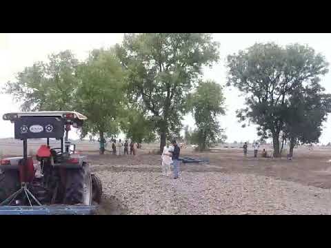 Massey 241( 11 cultuvator) 👍👍