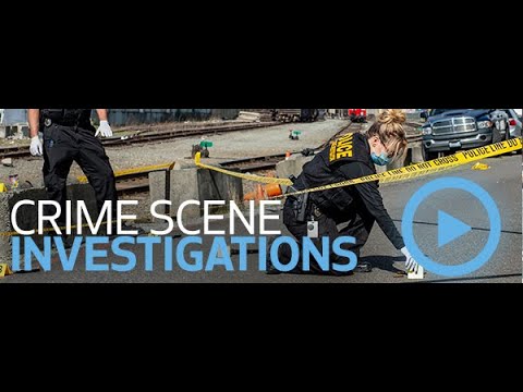 Seattle Police Department: CSI - YouTube