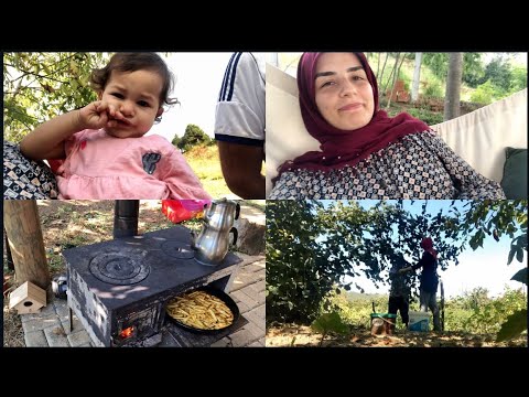 KAYINPEDERİMİN FINDIĞINI TOPLADIK | SOBADA HAZIRLANMIŞ MİS GİBİ KAHVALTI | AİLECE TARLADAYIZ 🌰