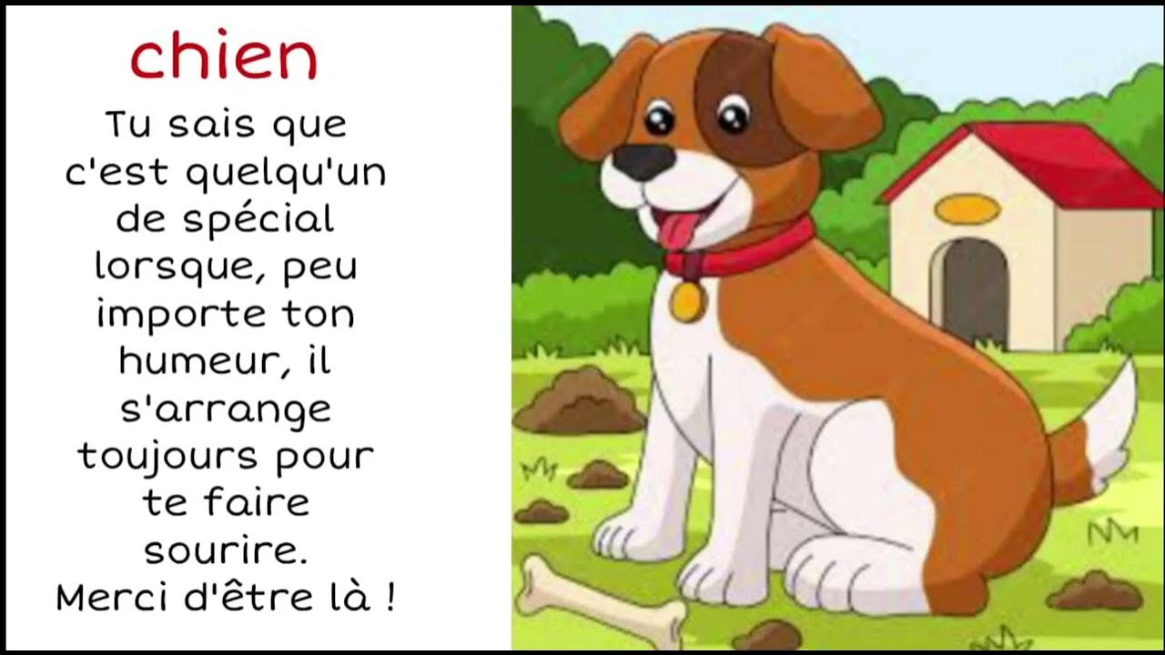 poésie le chien CP CE1 CE2 #poésie - YouTube