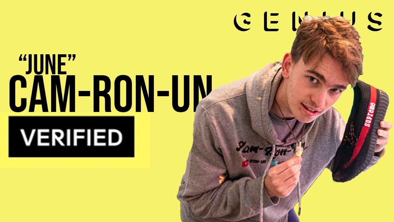 Cam Ron Un June FlightReacts Disstrack Official Lyrics Meaning cam-ron-un-june-flightreacts-disstrack-official-lyrics-meaning