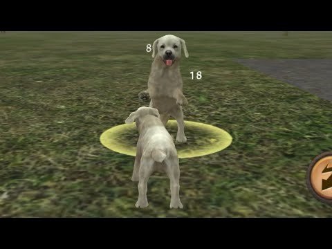 Dog Sim Online Singleplayer Part 1 - New Dog in the Neighborhood - YouTube