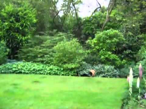 Complete Landscaping - Cirsium Garden Design Management