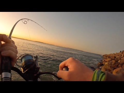 Quick Arvo Land Based Session off the Stones! (Lake Macquarie) - YouTube