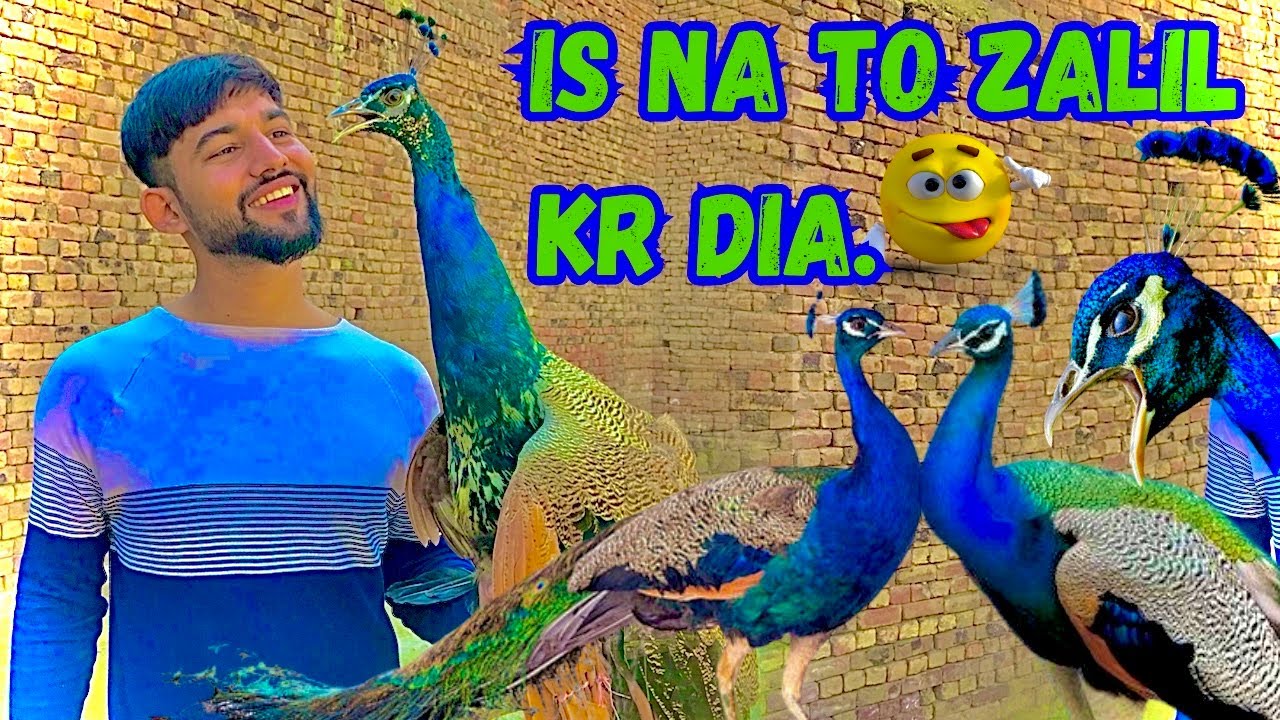 IS NA TO zALIL KR DIA 🤣😂😜🥰😍 - YouTube