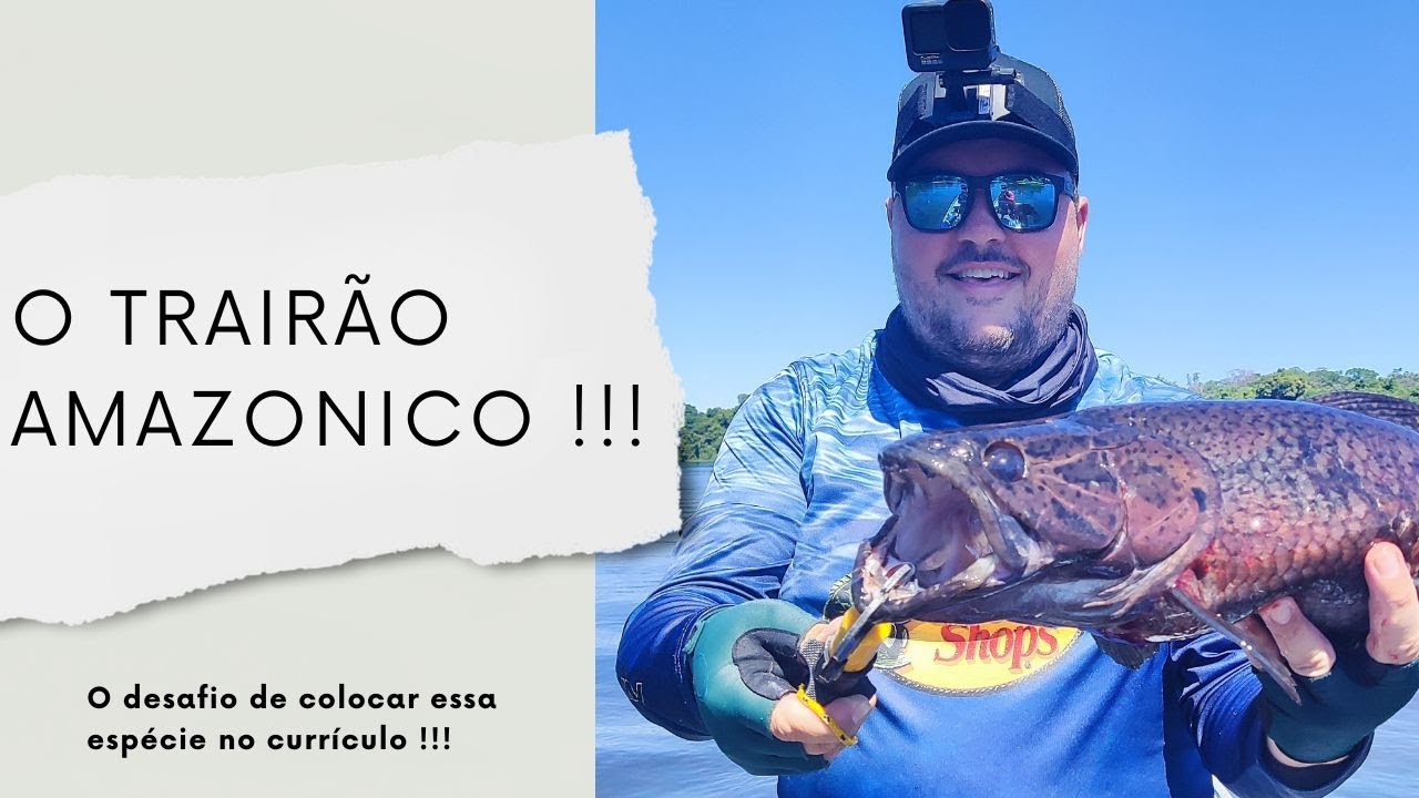 DESAFIO PAGO ... O TRAIRÃO AMAZONICO !!! VISUAL TOP !!! - YouTube