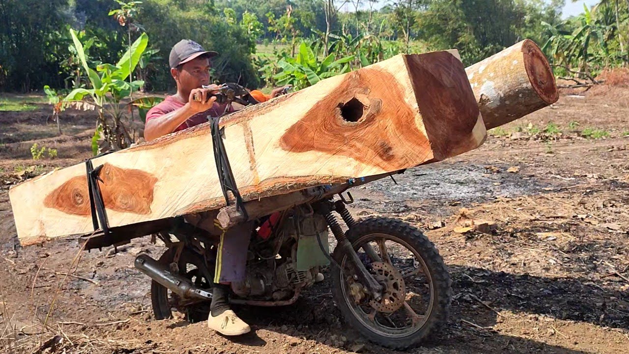Extreme Indonesian wooden motorcycle taxis carrying large logs using ...