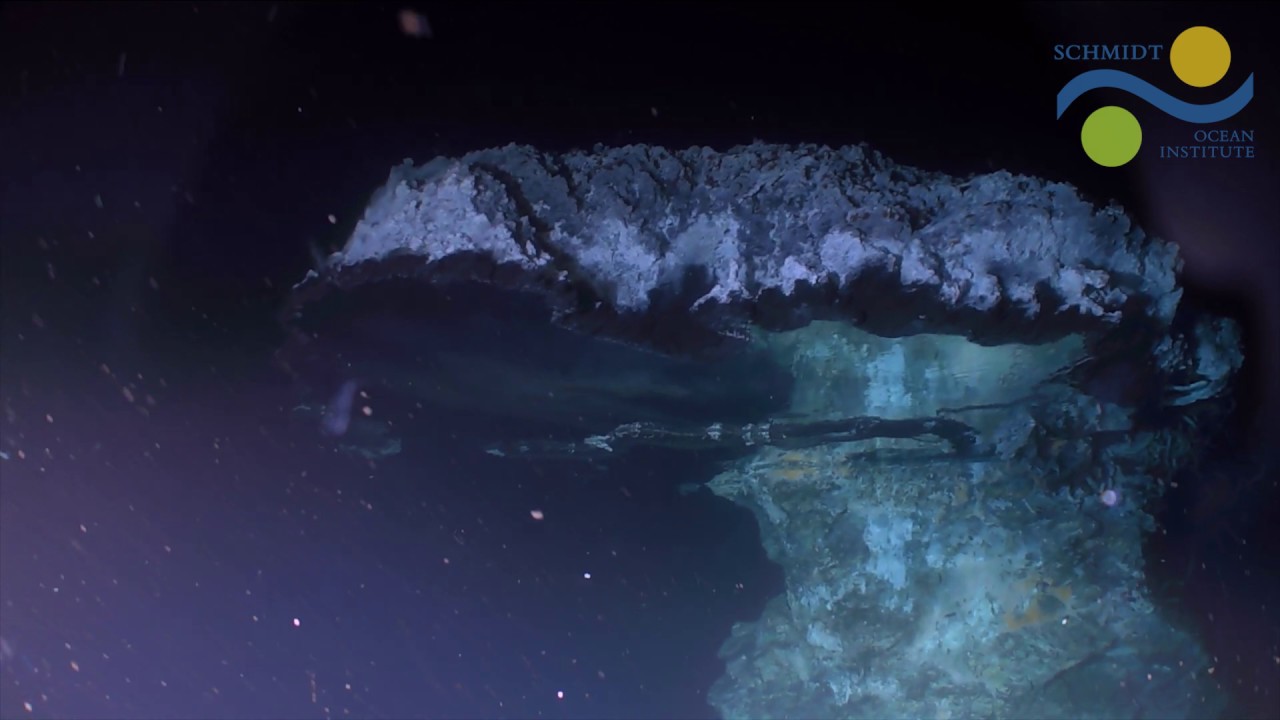 Otherworldly Mirror Pools, New Lifeforms, and Mesmerizing Landscapes ...