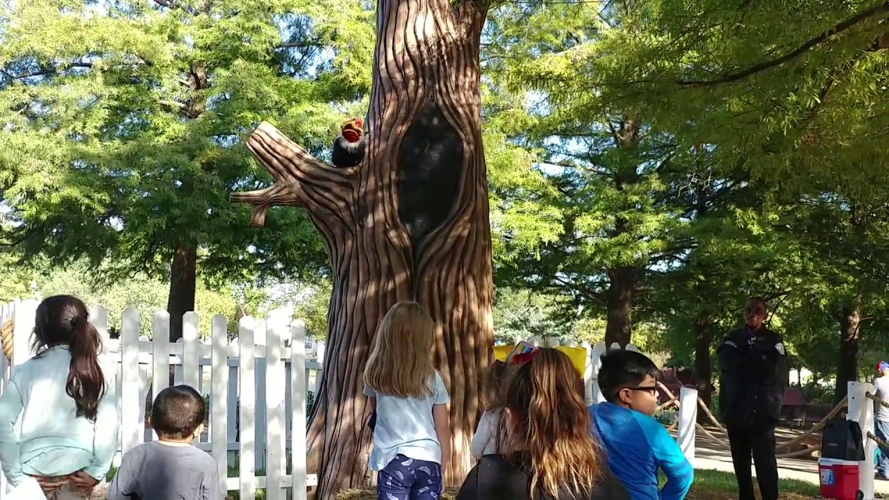 Buford Buzzard at the State Fair of Texas - YouTube