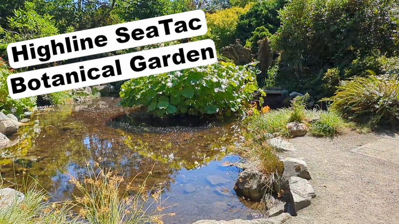 Seattle's Highline SeaTac Botanical Garden - YouTube