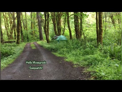 Hello Mossyrock Sasquatch Pt.1 B&G Bigfoot Campout June 2021 - YouTube