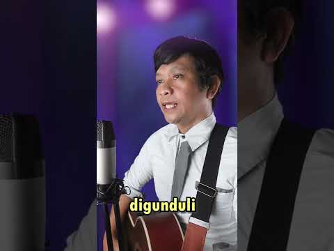 BULU.. versi lain lagunya Danar X factor