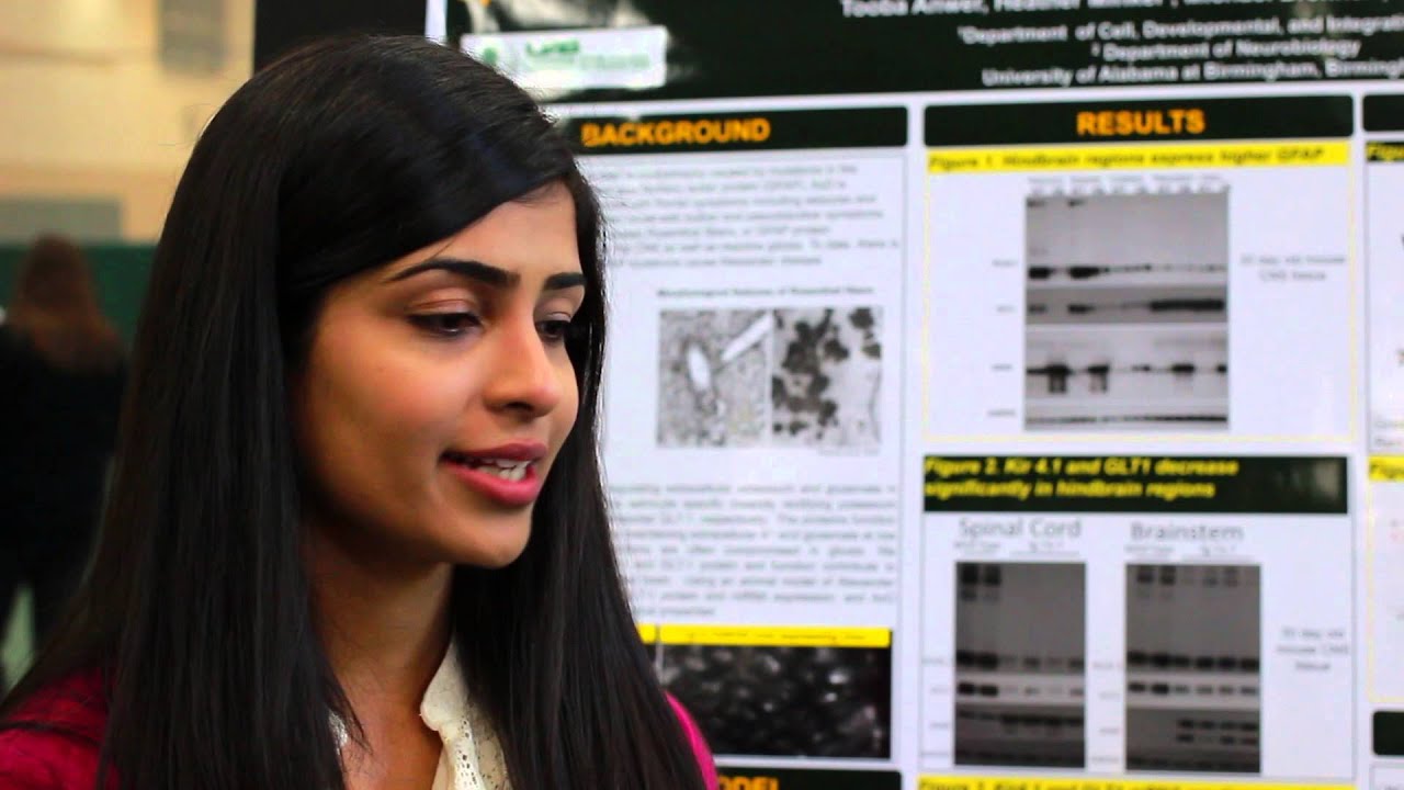 Tooba Anwer Full Presentation - YouTube