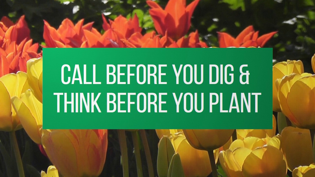 Call Before You Dig & Think Before You Plant - YouTube