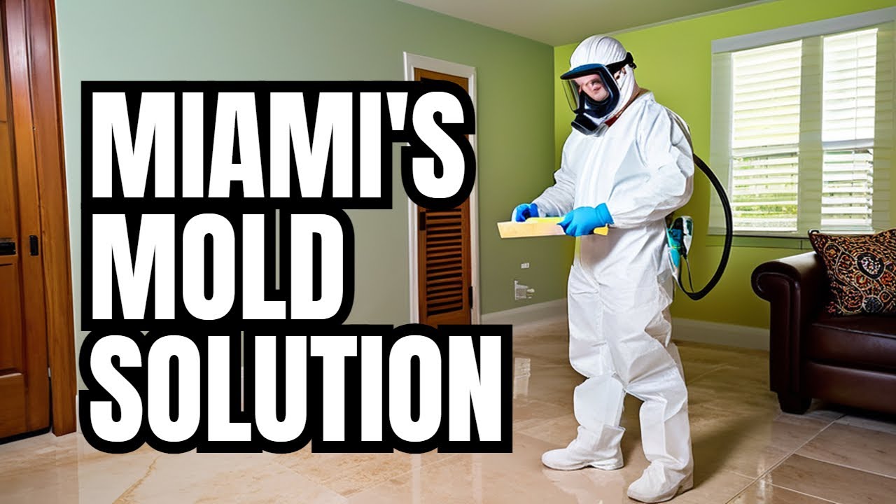 Miami's Top Mold Remediation: No More Fear - YouTube