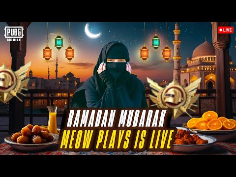 Late night streamer is back 💤🙂|ROAD TO 1k SUBSCRIBERS|Meow playss | # ...